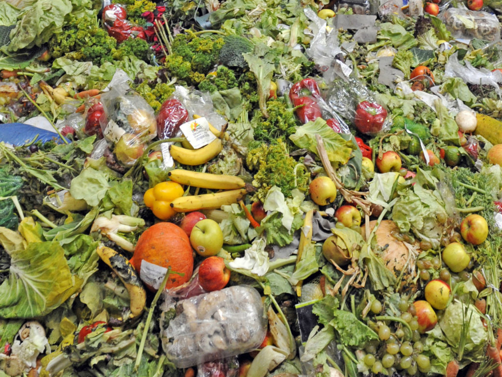 UK’s massive food waste problem to be tackled | UON