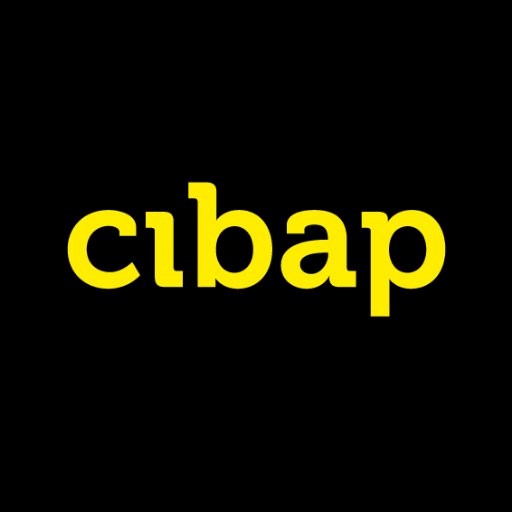 CiBAP, Netherlands | University of Northampton