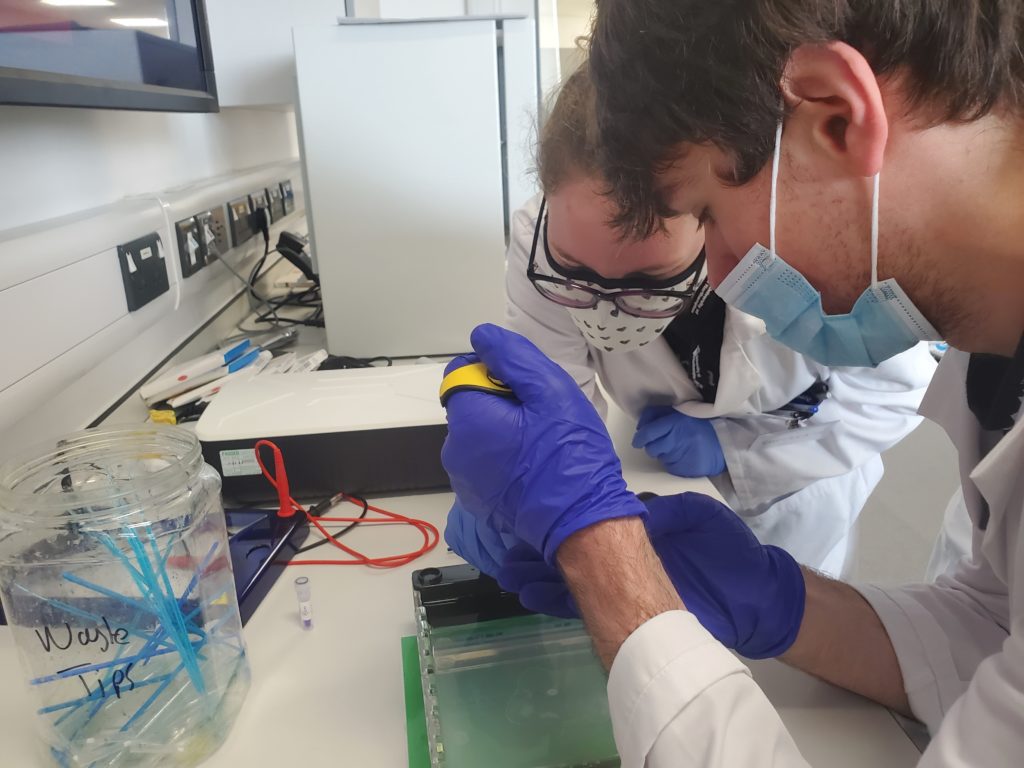 Science students hit by lockdown catch up on missed lab work | UON