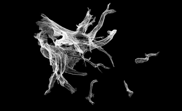 It’s Showtime: UON Fine Art Exhibition Event – 5-12 September | UON