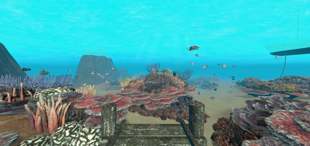 Dolphin Experience VR | University of Northampton