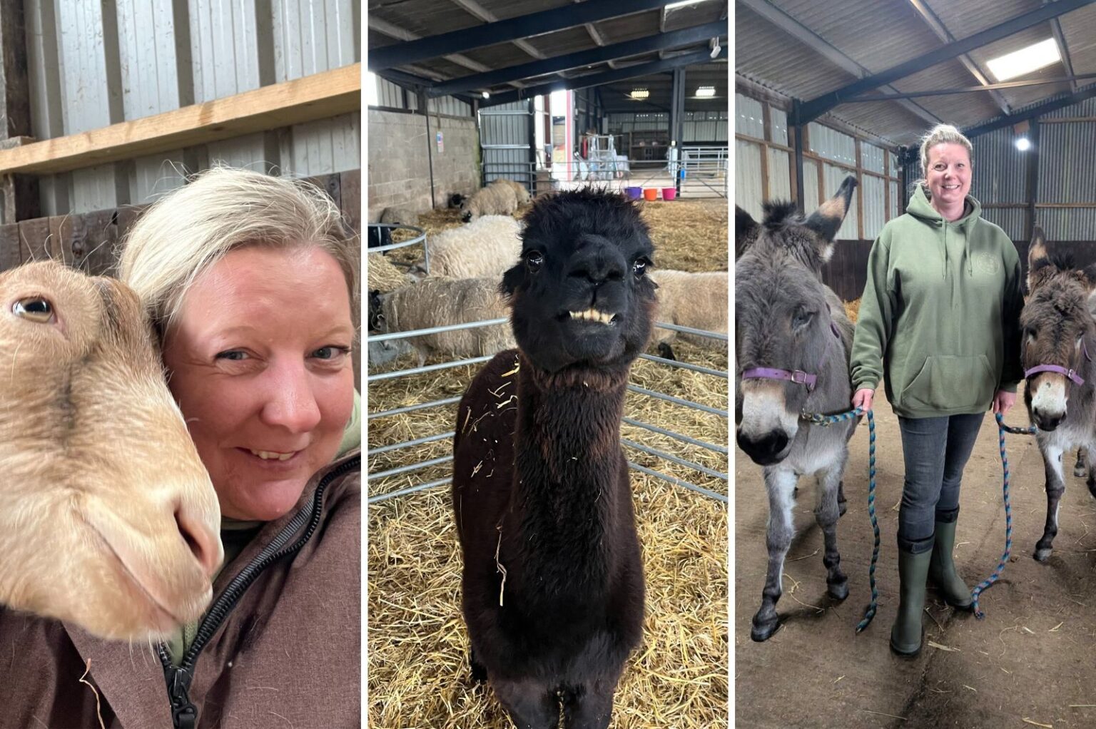 Student's Animal Antiks place Occupational Therapy in a farm setting | UON