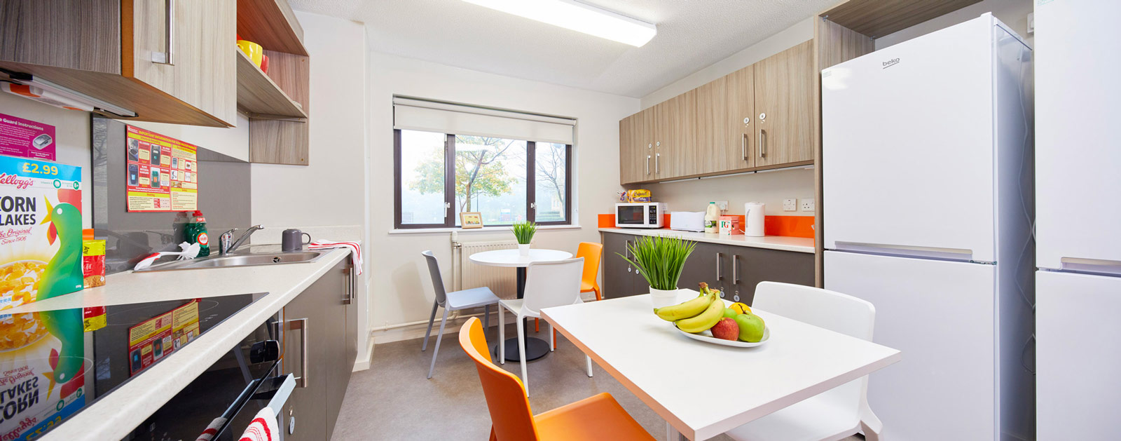 Single En-Suite – Scholars Green | University of Northampton